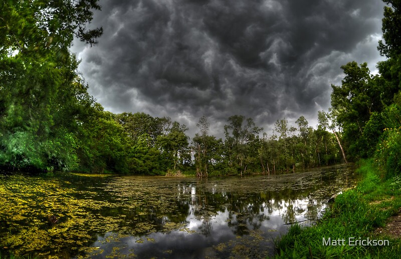 "Indiana Swamp Storm" by Matt Erickson | Redbubble