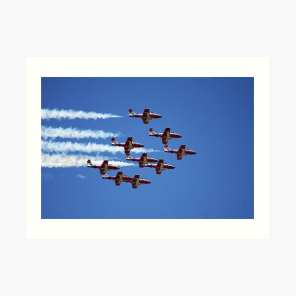 "Flight of the Snowbirds" Art Print for Sale by alycetaylor | Redbubble