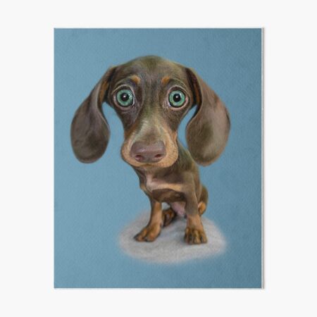 "Fun-eez Pet Caricatures by SadSac Designs Dacgshund" Art Board Print ...