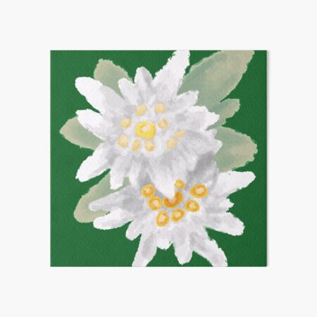 "Edelweiss" Art Board Print by jk-and-cat | Redbubble