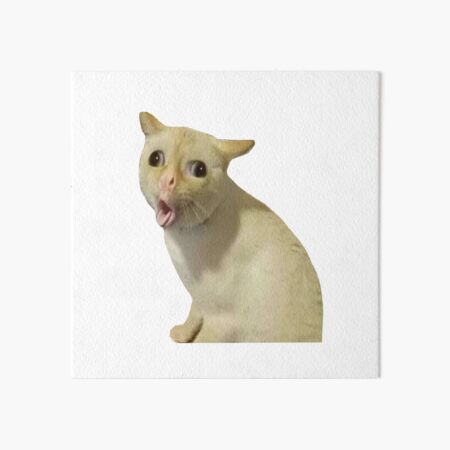 Lámina rígida «tos gato meme» de SplendidArt | Redbubble