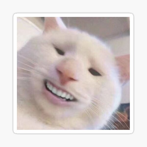 "cat sticker " Sticker by adelelouiise | Redbubble