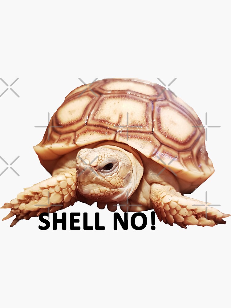 "Shell no!" Sticker for Sale by TeamManja | Redbubble
