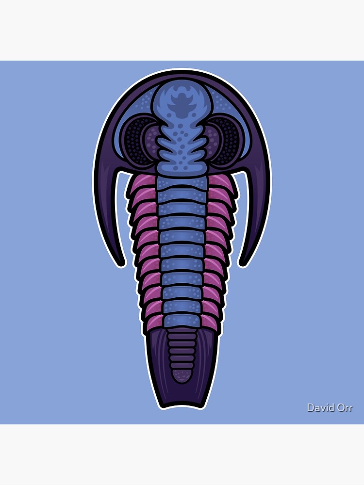 "Trilobite - Robergia" Poster for Sale by David Orr | Redbubble