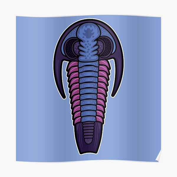"Trilobite - Robergia" Poster for Sale by anatotitan | Redbubble