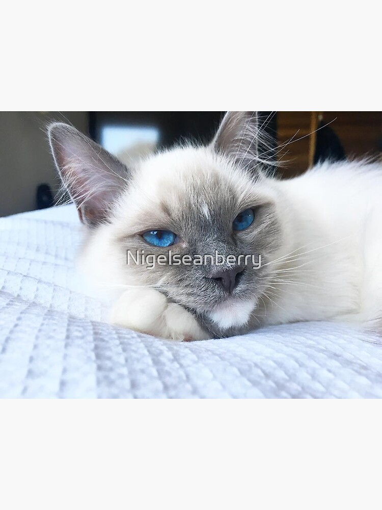 "Nimbus" Sticker by Nigelseanberry | Redbubble