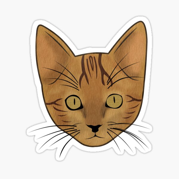 "Cat / Kitten (Benji)" Sticker by ulrikkc | Redbubble