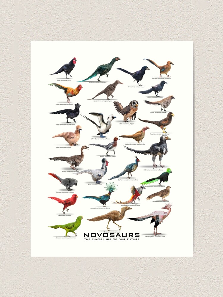 "Novosaur Poster" Art Print for Sale by dragonsofwales | Redbubble