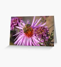 Enjoy Your Stay Greeting Cards | Redbubble