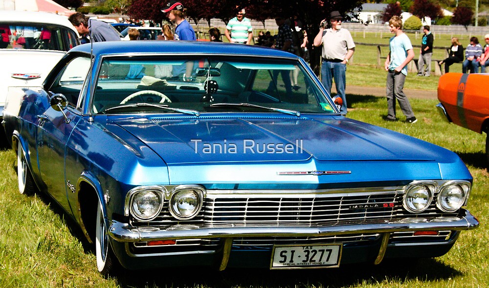 "Impala Blue" by Tania Russell | Redbubble