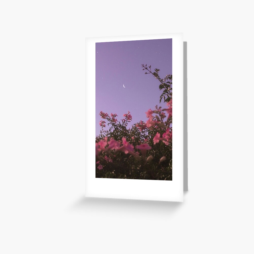 "Aesthetic flowers " Greeting Card by ItsDaisy | Redbubble