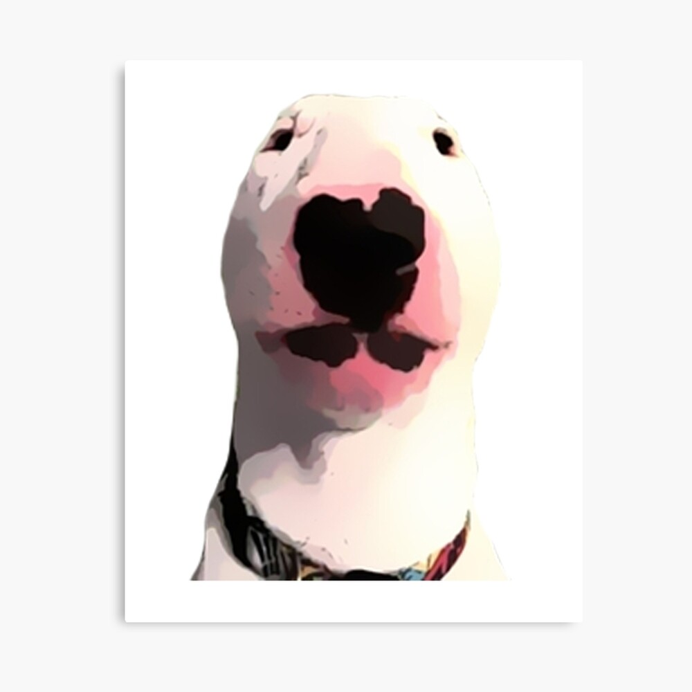 Art & Collectibles Prints Digital Prints Walter the dog Gloss Poster ...