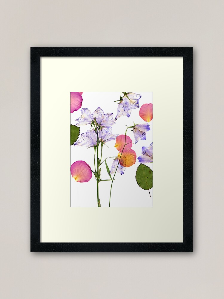Delicate Spring Framed Print Framing Materials etna.com.pe