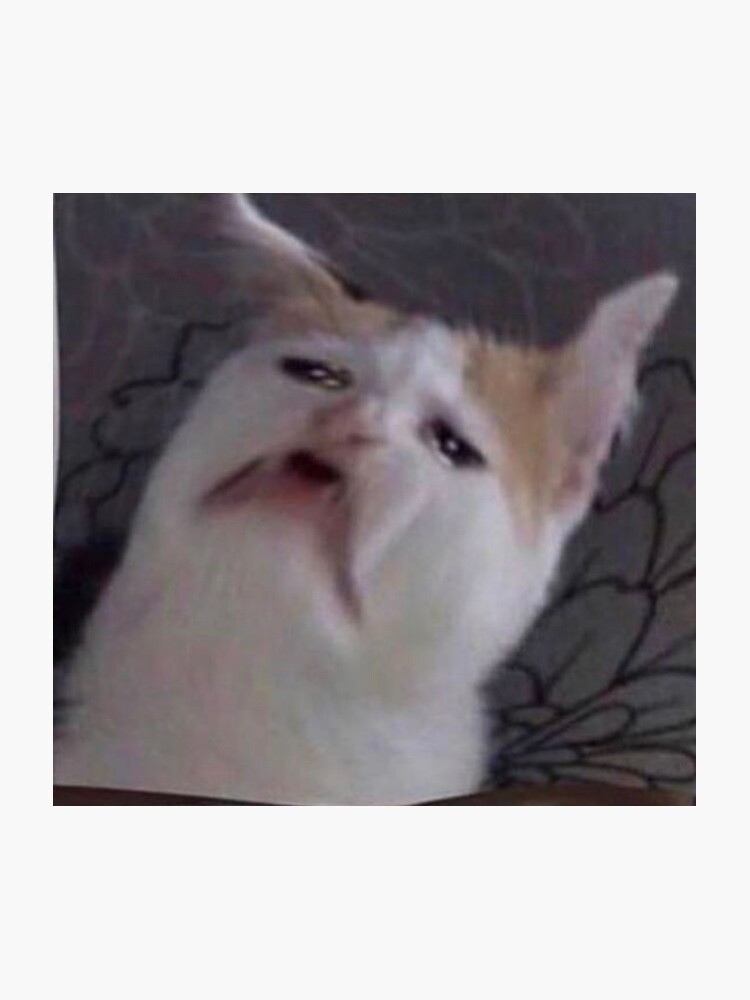 "sad and warped cat" Sticker for Sale by lsindhi21 | Redbubble