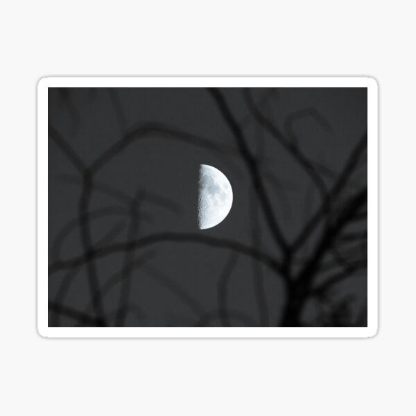 "Half Moon" Sticker for Sale by HectorCantres | Redbubble