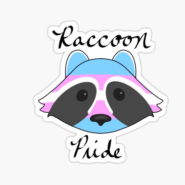 "Raccoon Pride (trans)" Sticker for Sale by Snoozy-Shark | Redbubble