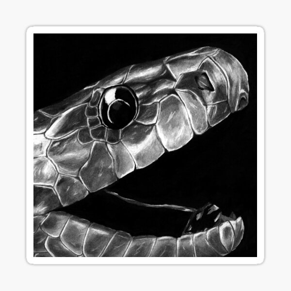 "Black Mamba" Sticker by jordenestes20 | Redbubble