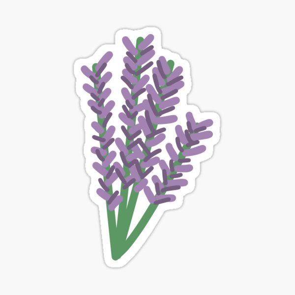 "Lavender " Sticker by indyg21 | Redbubble