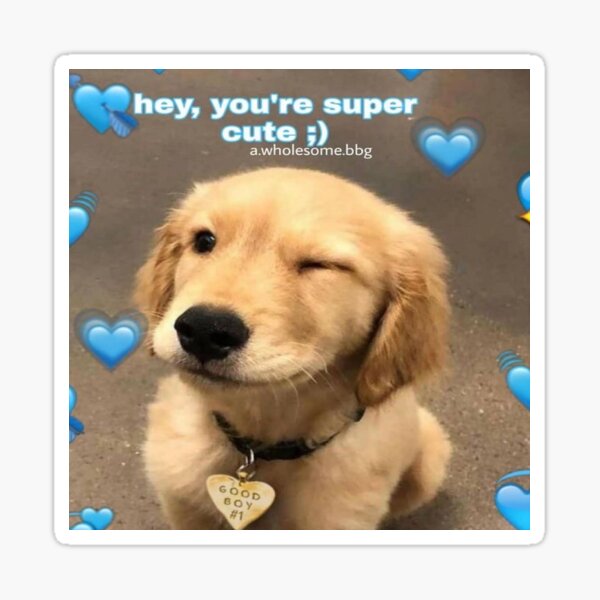 "hey you’re super cute " Sticker for Sale by officialdaez | Redbubble