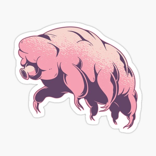 "Cute Tardigrade Design" Sticker by GrandpasTees | Redbubble