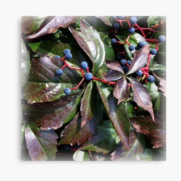 Rust Colored Wall Art | Redbubble