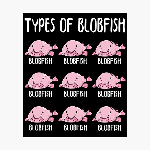 "Types Of Blobfish Gift Girls Boys Underwater Blobfish" Photographic ...