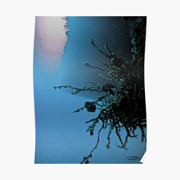 "A SENSE OF DEPTH" Poster by dumbodancer | Redbubble