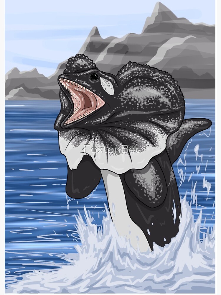 "Orca + Frilled Lizard Chimaera" Art Board Print for Sale by FoxtonBec ...
