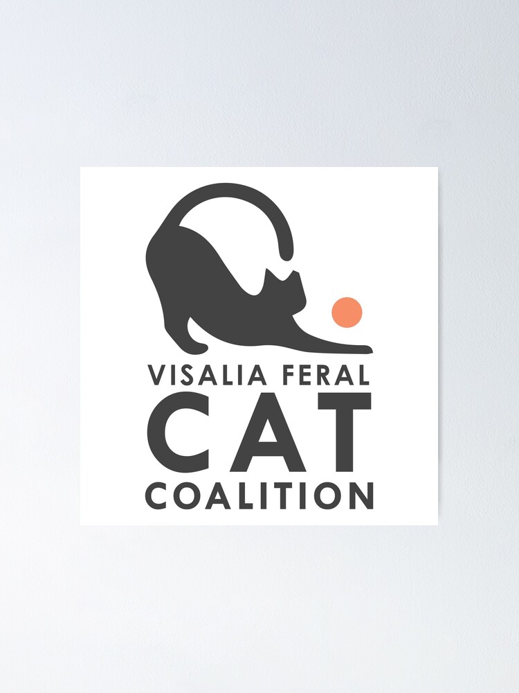 Póster «Logotipo de VFCC» de VisaliaFeralCat | Redbubble