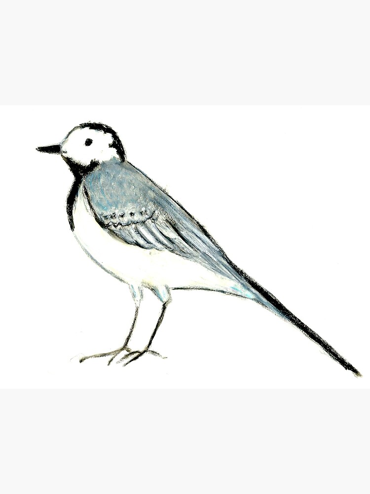 "White wagtail" Canvas Print for Sale by Ladyrobin | Redbubble