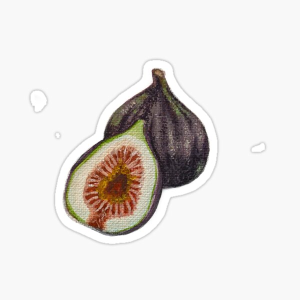 "acrylic fig sticker" Sticker for Sale by madison-j-blue | Redbubble