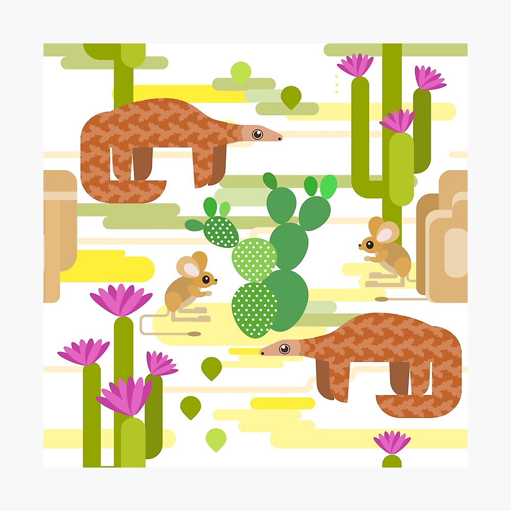 Fotos De Animales Del Desierto Para Niños