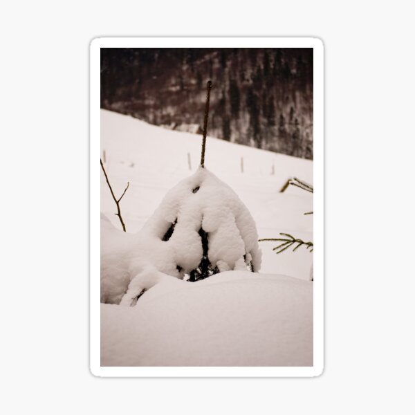 ""IGLOO"" Sticker for Sale by MarekM | Redbubble