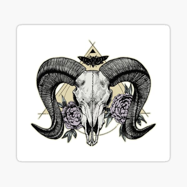 "Ram Skull Color" Sticker for Sale by senmizuumi | Redbubble