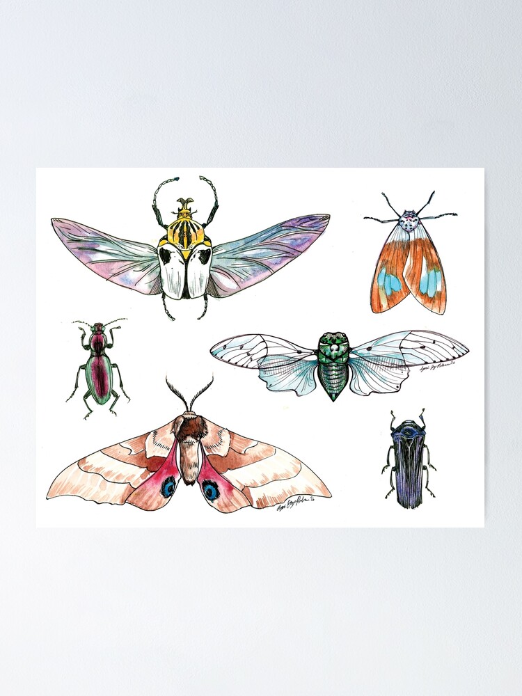 "Bug Band" Poster by phantomstallion | Redbubble