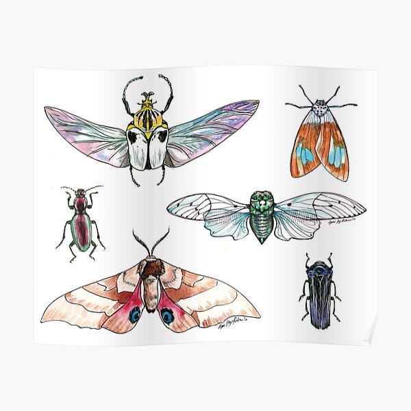"Bug Band" Poster by phantomstallion | Redbubble