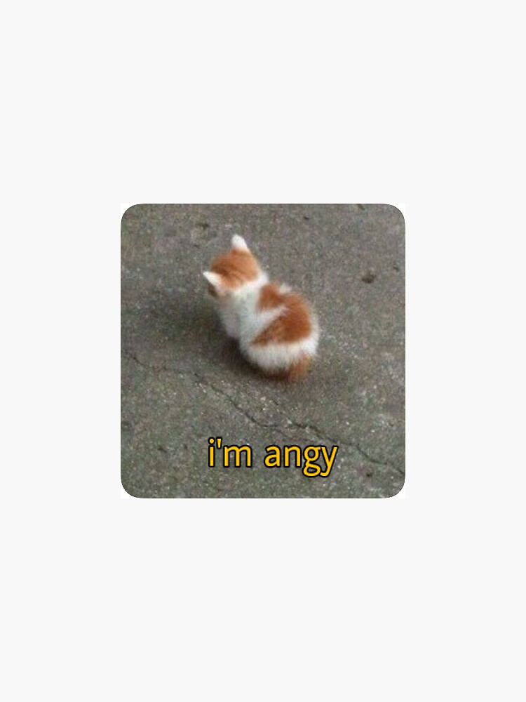 "i'm angy kitty" Sticker for Sale by libbym3 | Redbubble