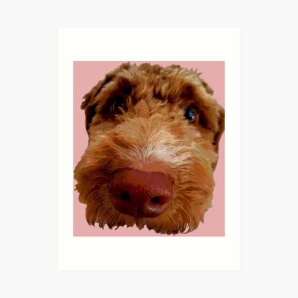 "Snoot Snoot" Art Print by launchabort | Redbubble
