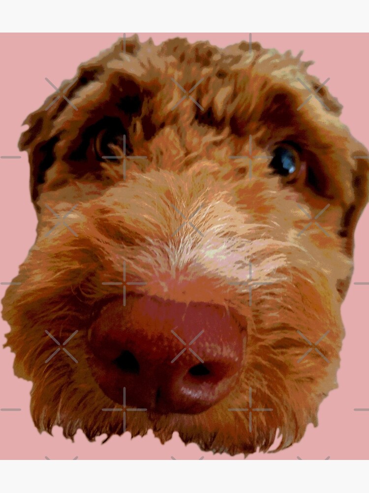 "Snoot Snoot" Art Print by launchabort | Redbubble