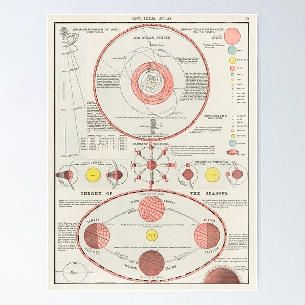 Astacology Vintage Diagram Posters for Sale | Redbubble