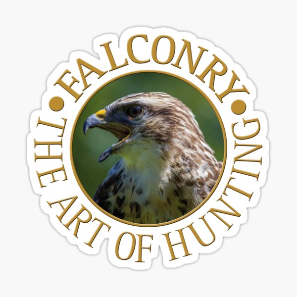 "Buzzard | Falconry Art of Hunting" Sticker for Sale by Vectorbrusher ...