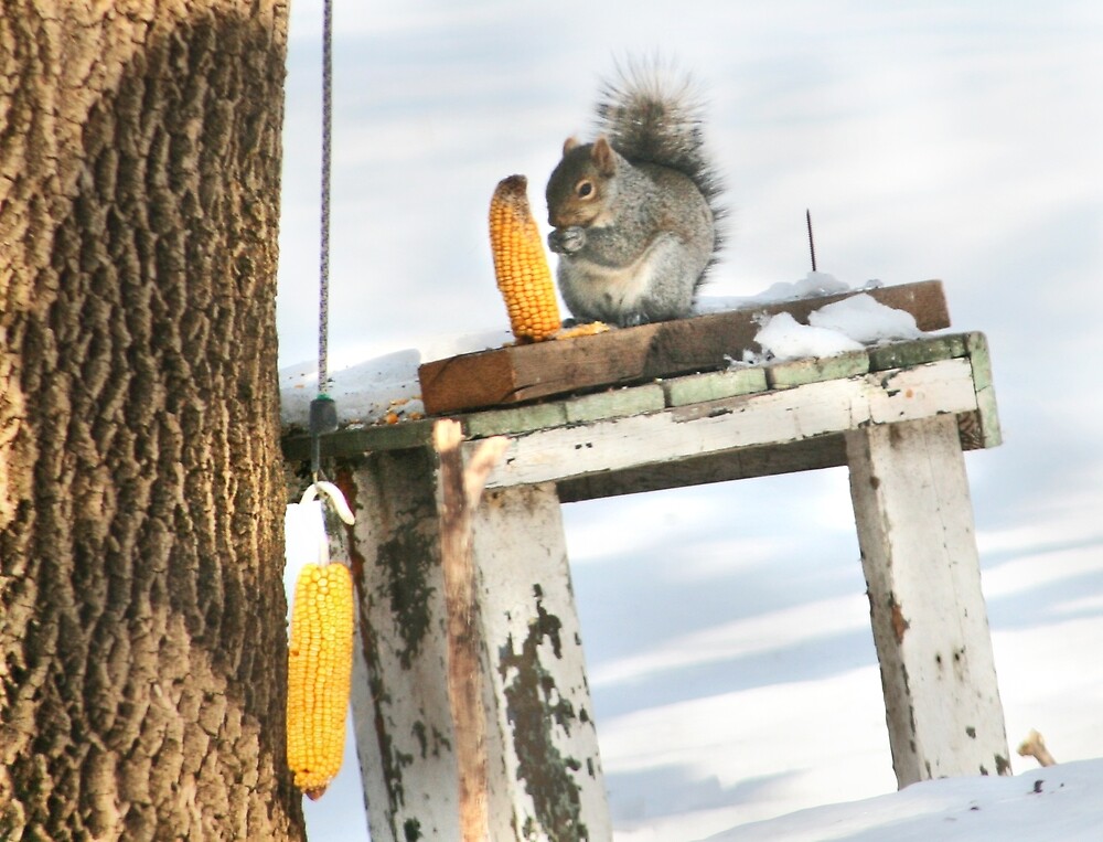 "Breakfast at the Squirrel Cafe" by Nadya Johnson | Redbubble