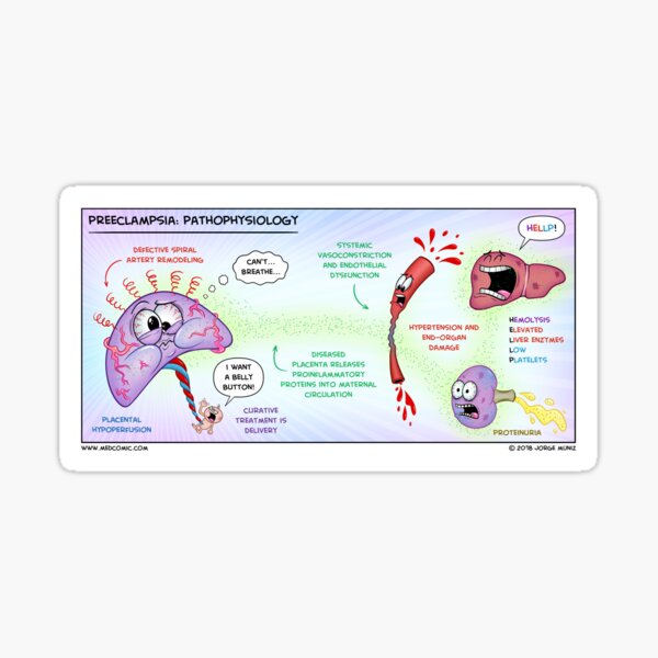 "Preeclampsia: Pathophysiology" Sticker for Sale by Medcomic | Redbubble