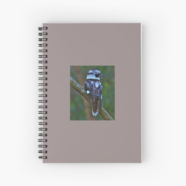 Kokaburra Gifts & Merchandise for Sale | Redbubble