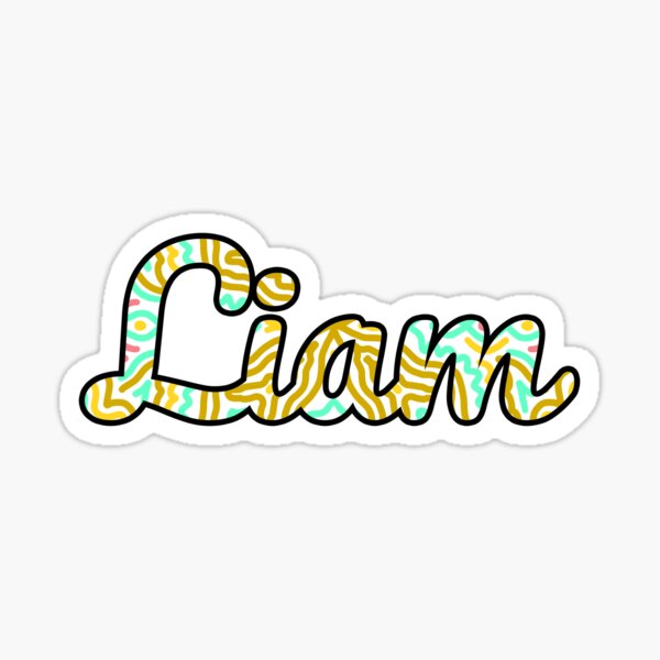 "Liam Handwritten Name" Sticker by inknames | Redbubble