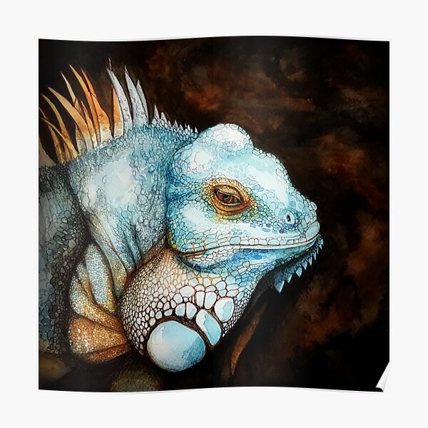 "watercolour iguana" Poster for Sale by studiovanharte | Redbubble