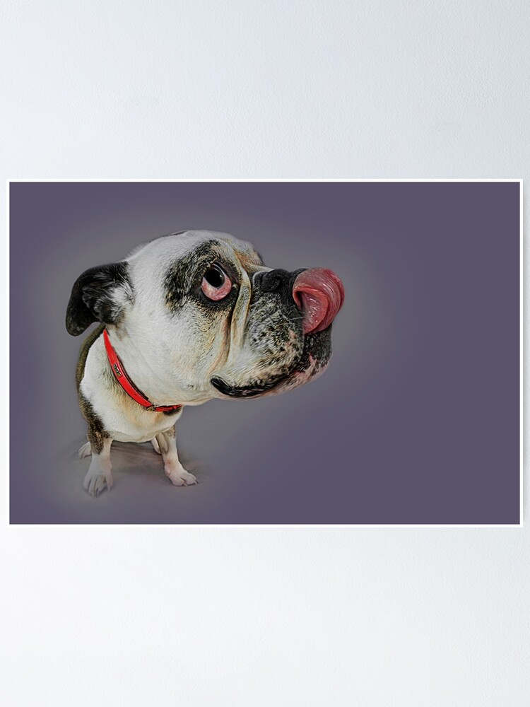 "Pet Caricatures by SadSac Designs" Poster by SadSacDesigns | Redbubble