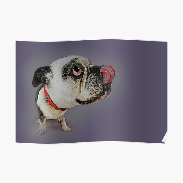 "Pet Caricatures by SadSac Designs" Poster by SadSacDesigns | Redbubble