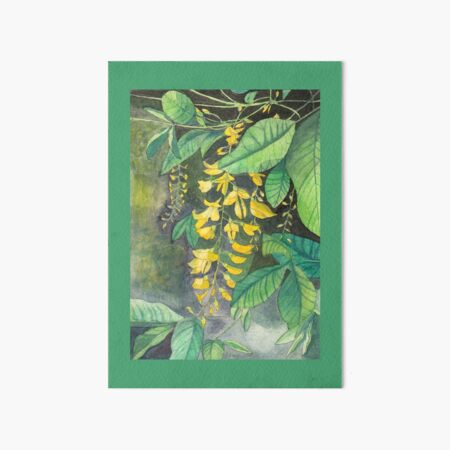 "Laburnum flowers and leaves watercolor painting" Art Board Print for ...