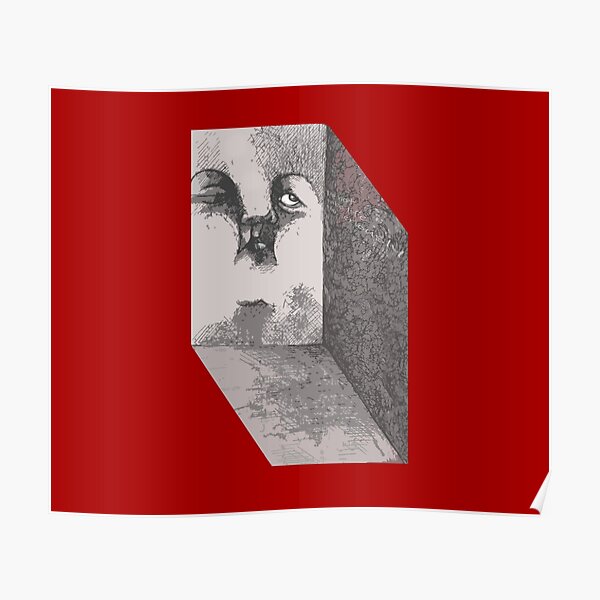 "cuboid (by samanehsalavati)" Poster for Sale by modopod1 | Redbubble